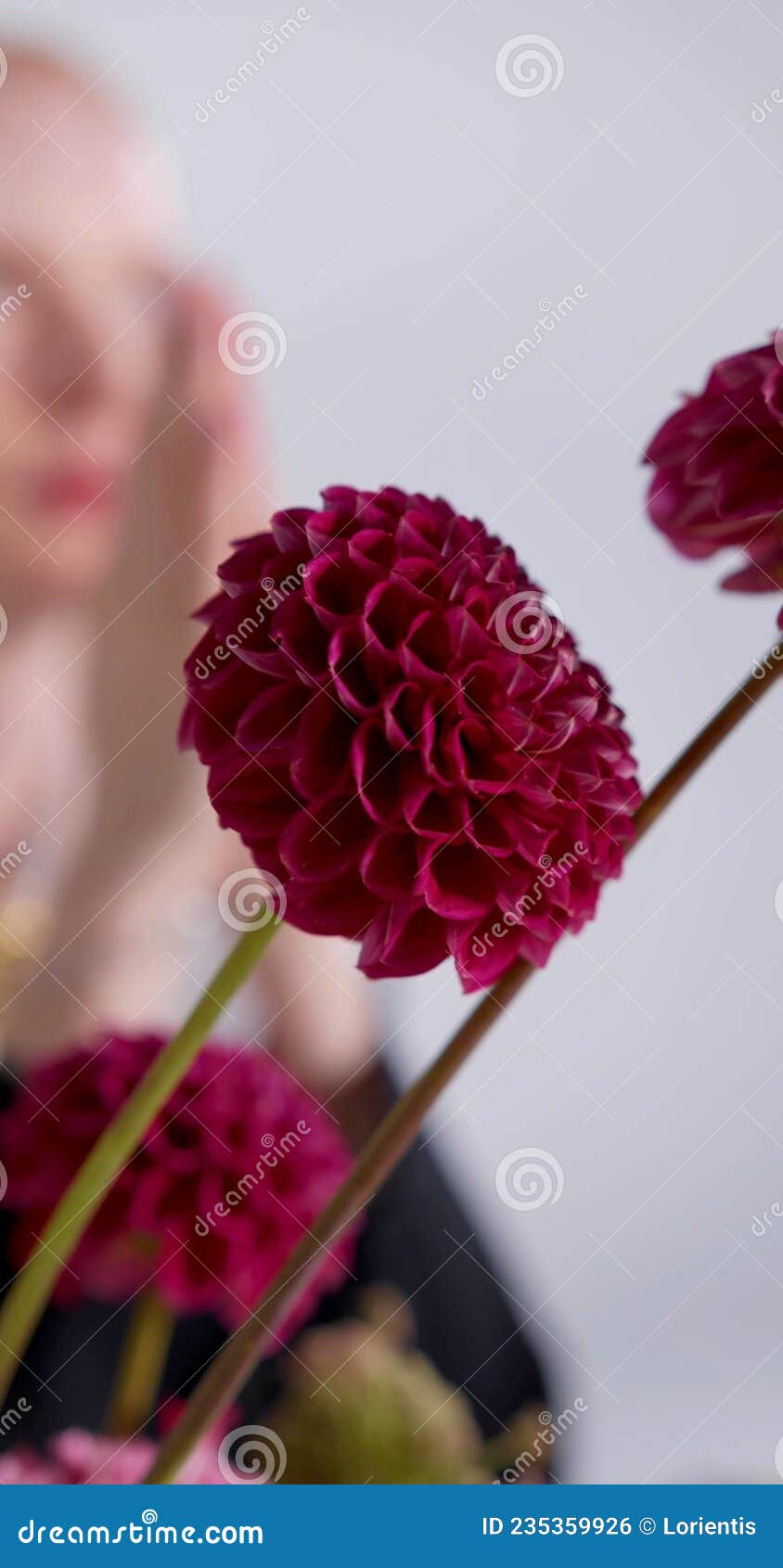 A Vertical Photo of a Red Flower Stock Photo - Image of closeup ...