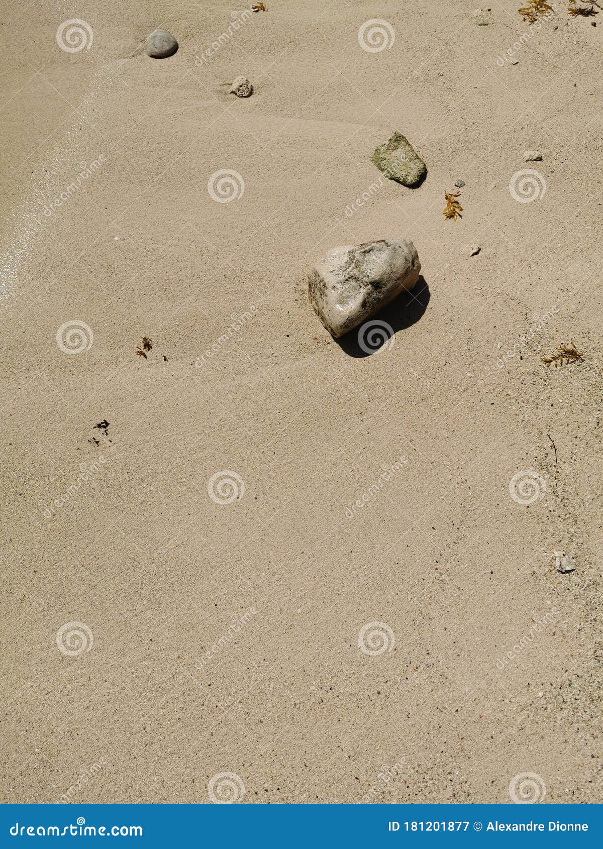 Sand of a Mexican Beach from Riviera Maya Stock Image - Image of ...