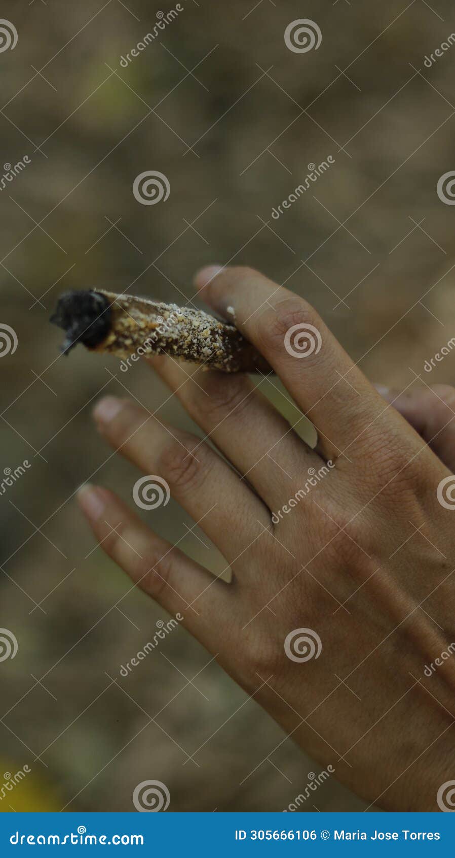 Vertical Photograph of a Hand Holding a Marijuana Blunt Stock Photo ...