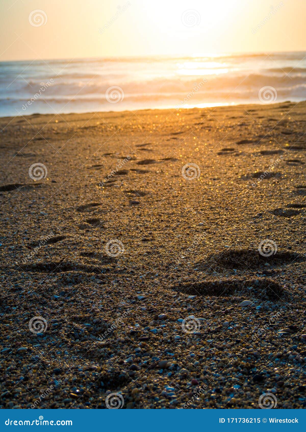 Vertical Picture of the Beach with Footsteps on it Surrounded by the ...
