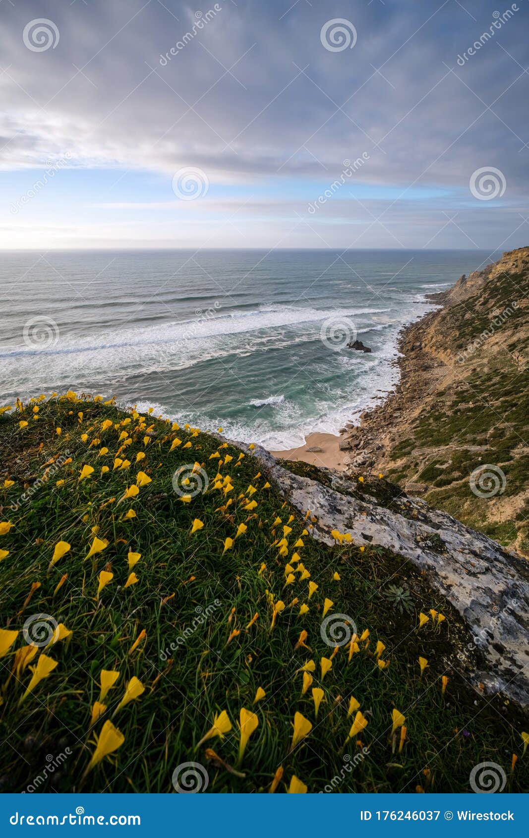 Vertical Picture of Cliffs Covered in the Grass and Flowers Surrounded ...