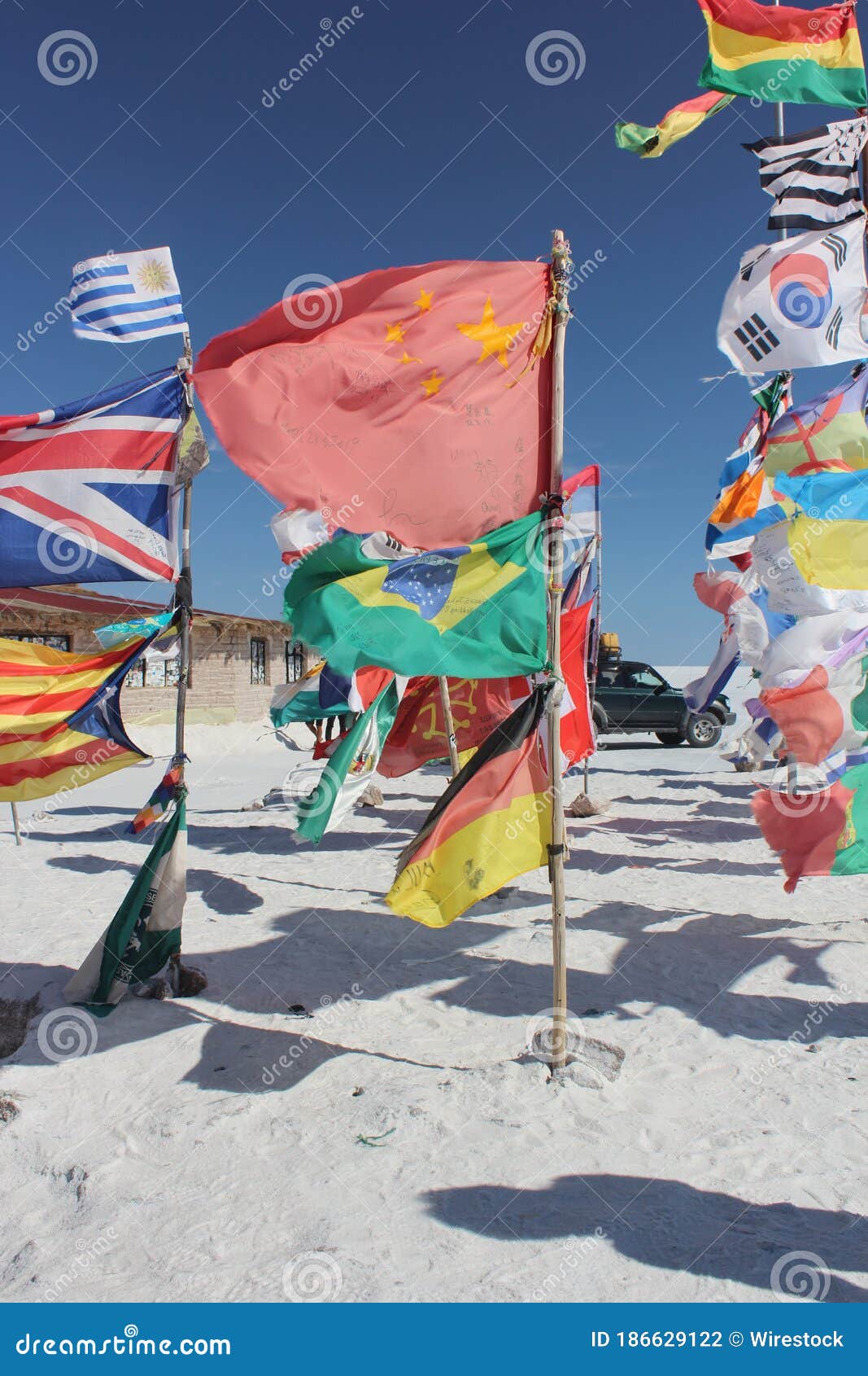Vertical Picture of Flags of Different Countries on the Snow Stock ...