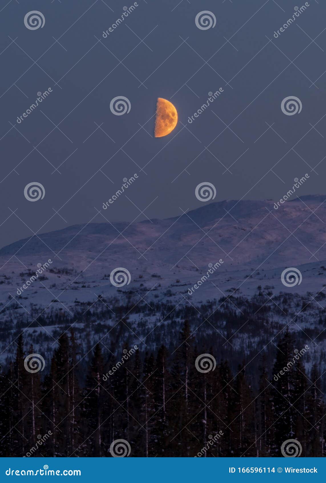 Vertical Picture of a Lunar Eclipse Above Mountains and Forests Covered ...