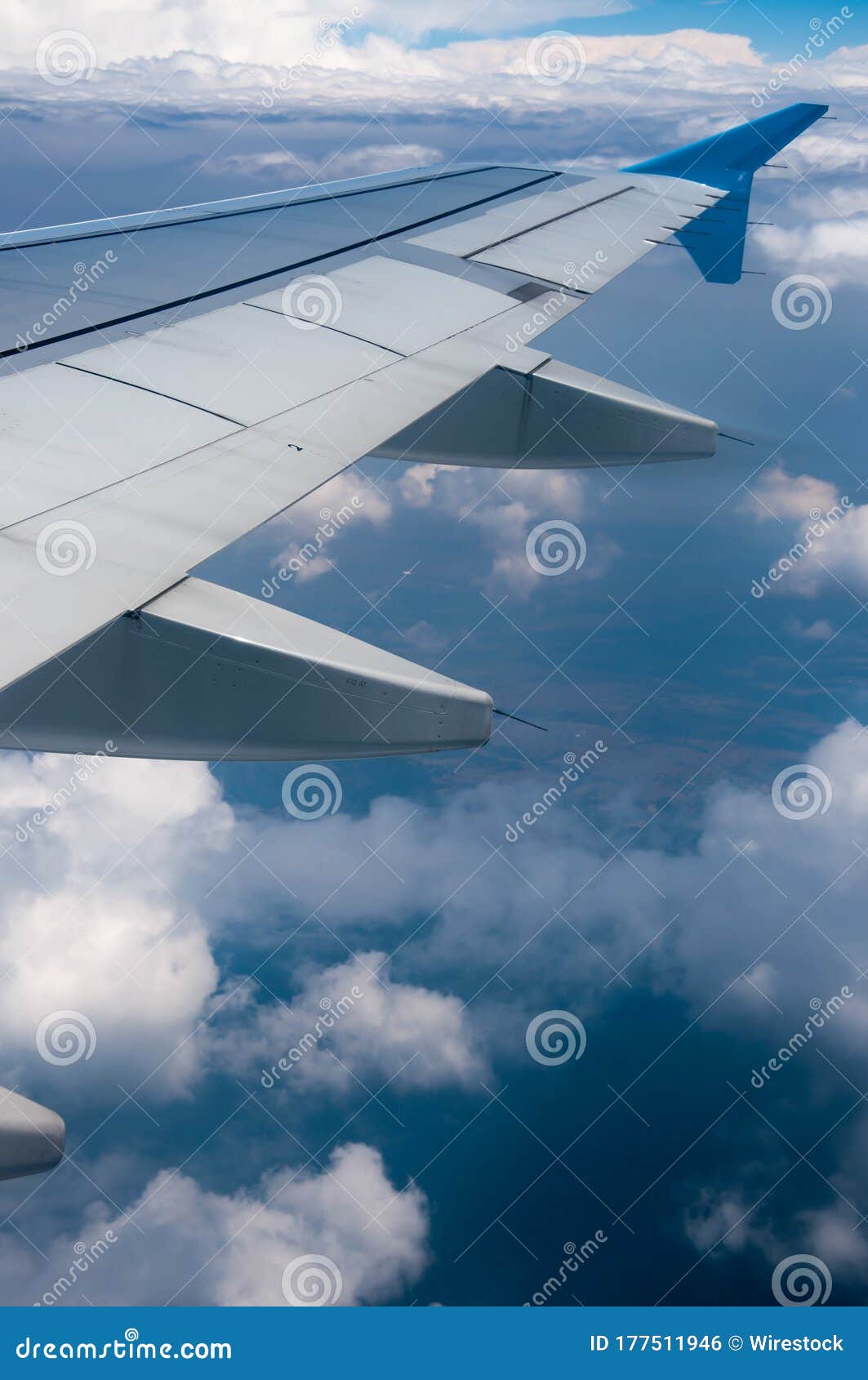 Vertical Picture of the Plane Wing Under the Sunlight Surrounded by ...