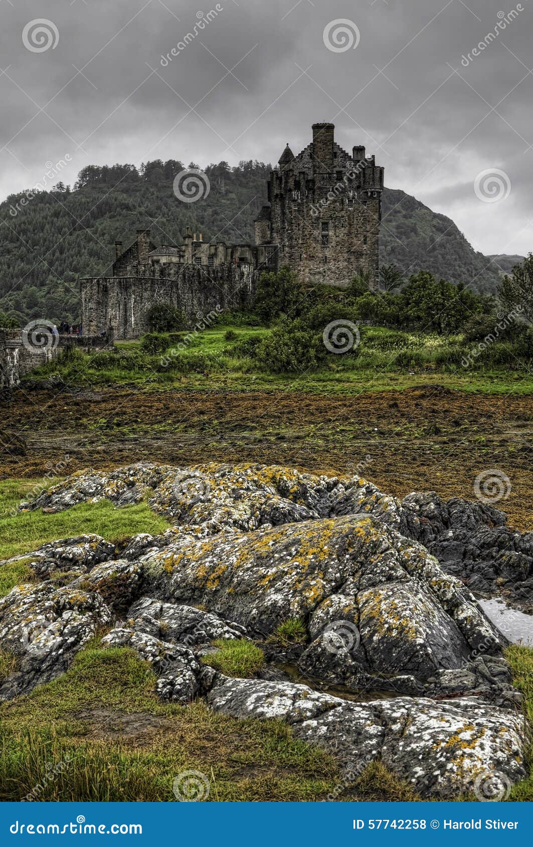 Vertical of the Picturesque Scottish Castle of Eilean Donan Editorial ...