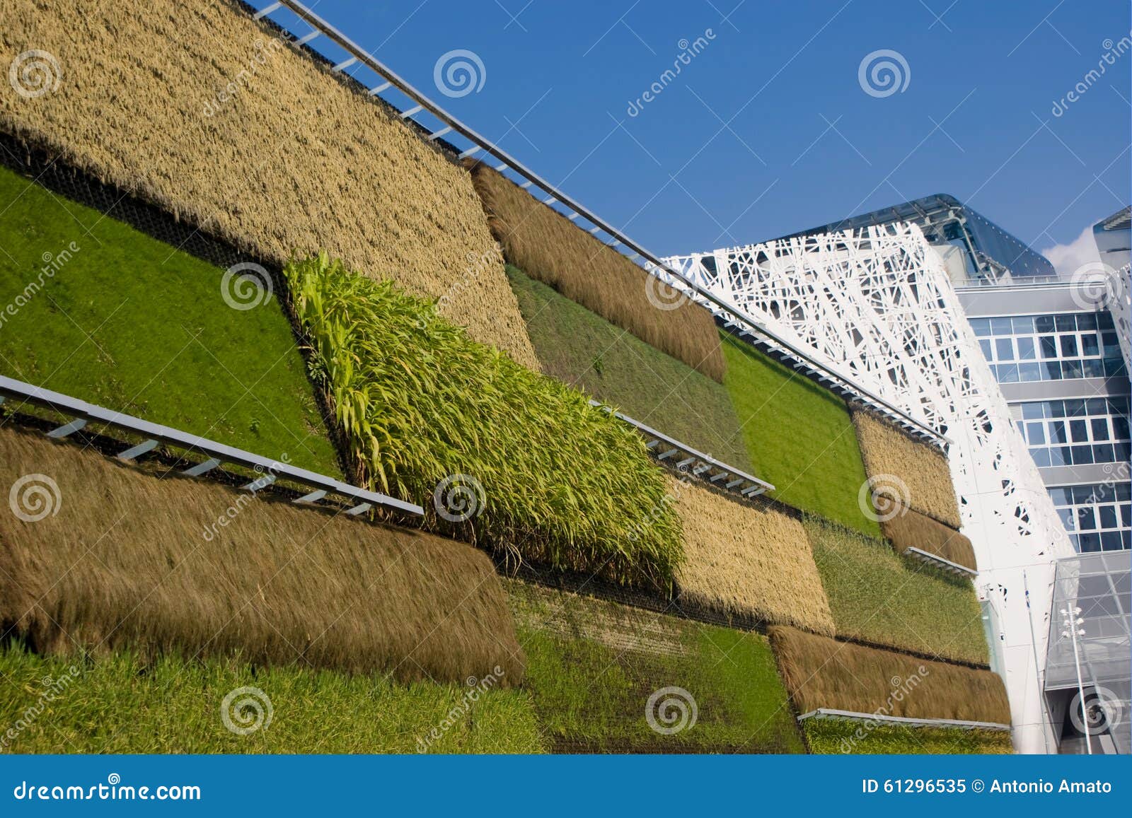 Vertical plantations stock image. Image of plantation - 61296535