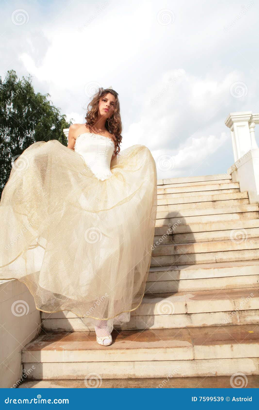 Vertical Portrait of the Bride Stock Image - Image of fashion, person ...