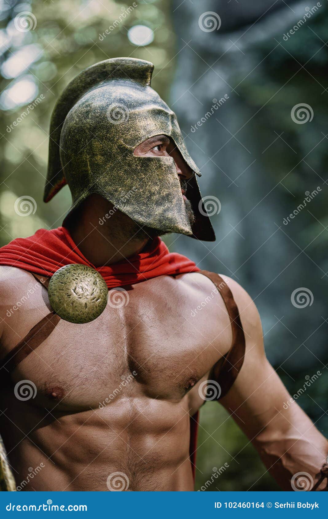 Spartan Warrior in the Woods Stock Photo - Image of history, cloak ...