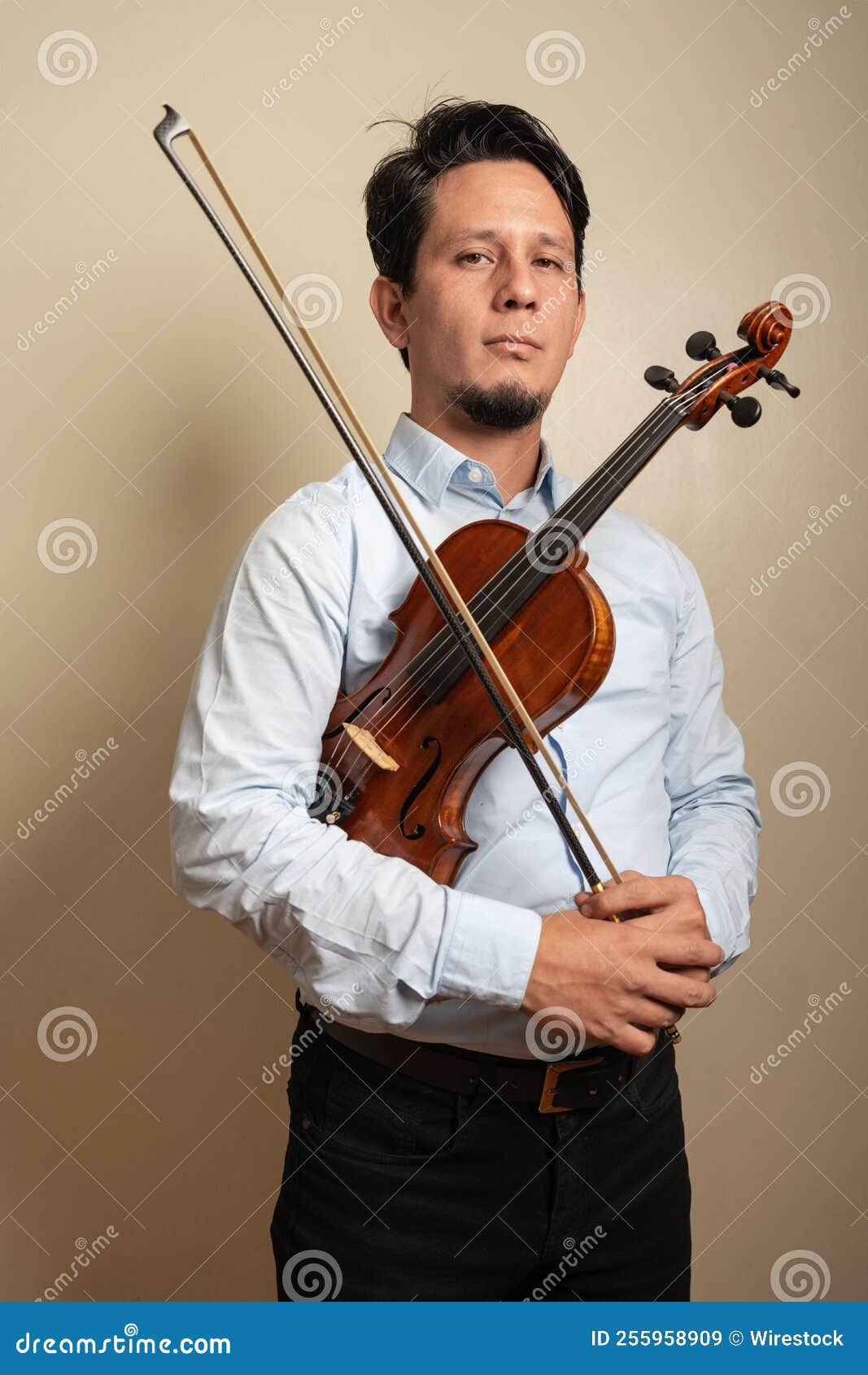 Portrait of a Musician with a Violin Stock Image - Image of elegant ...