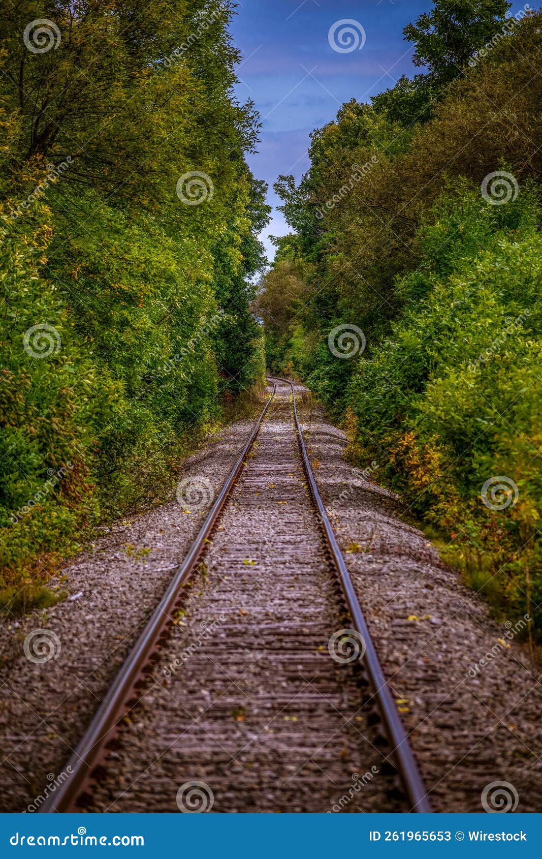 Vertical of a Railway, Rail Tracks Going through Leafy Green Trees of a ...
