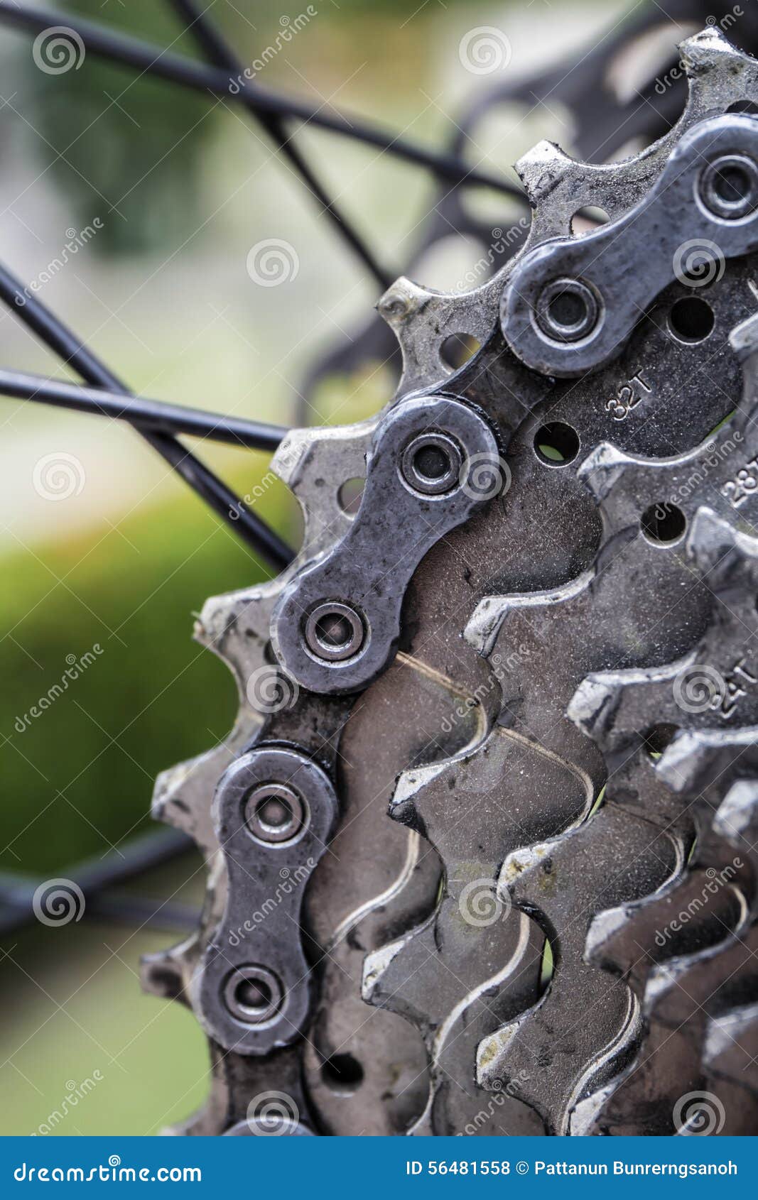 Vertical Rear Mountain Bike. Stock Photo - Image of group, gearing ...