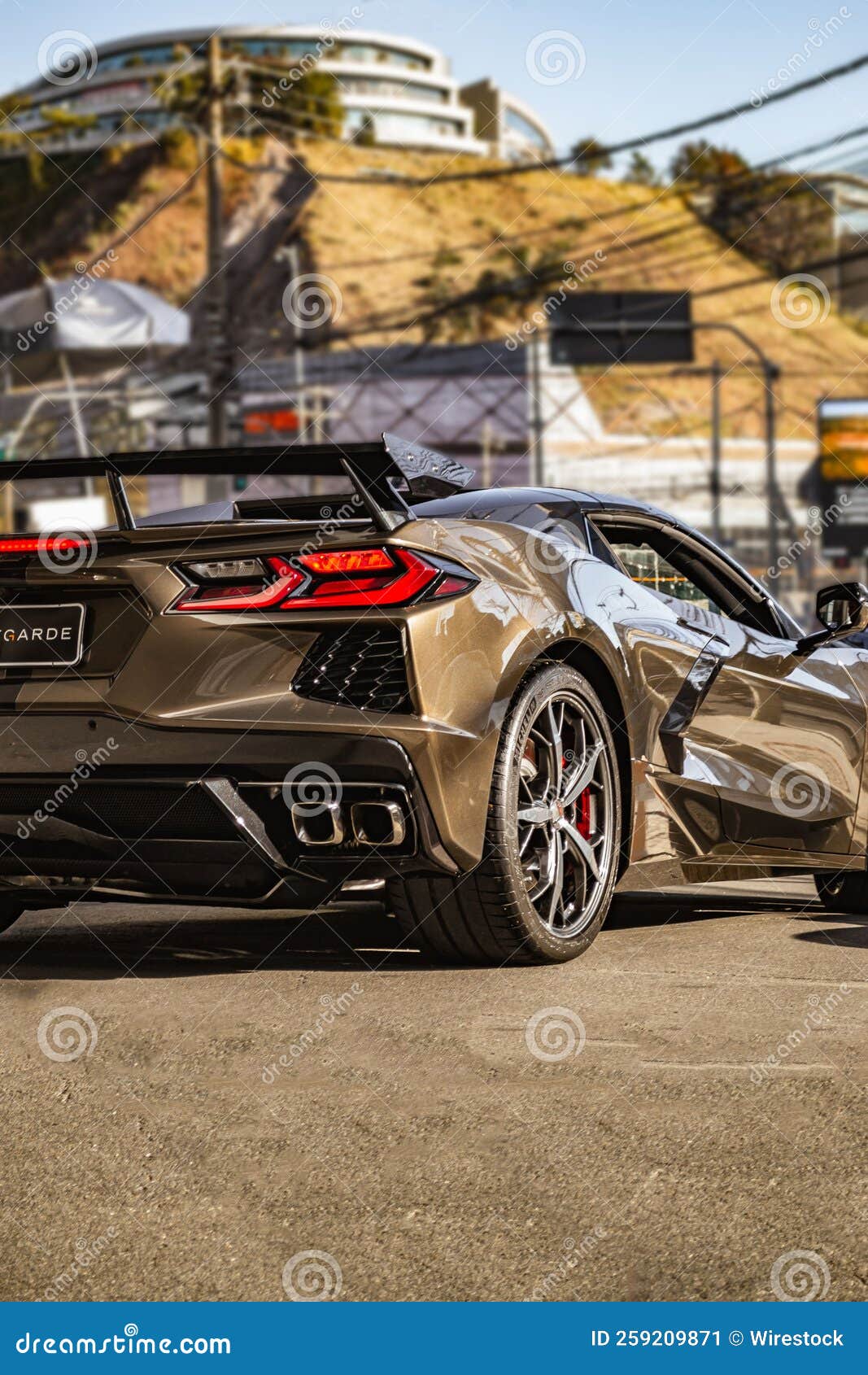 Vertical Rear View of a Grey Chevrolet Corvette C8 on the Road ...