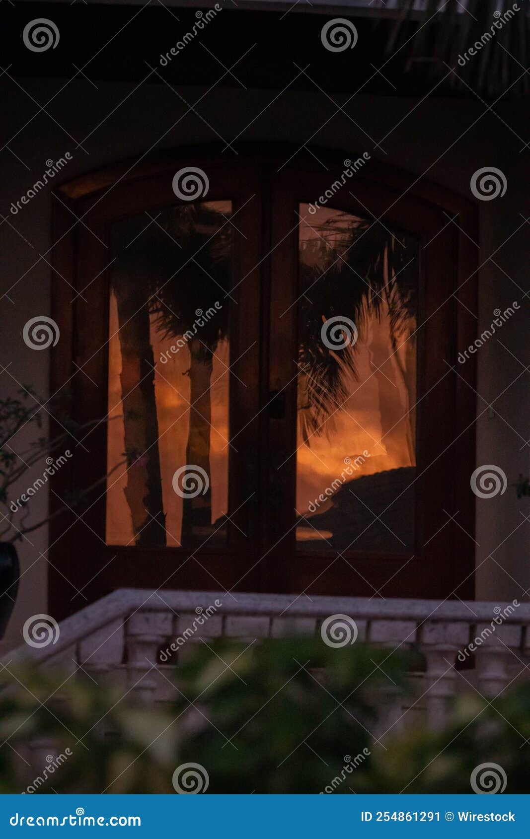 Vertical of the Reflection of Palms at Sunset on the Window. Stock ...