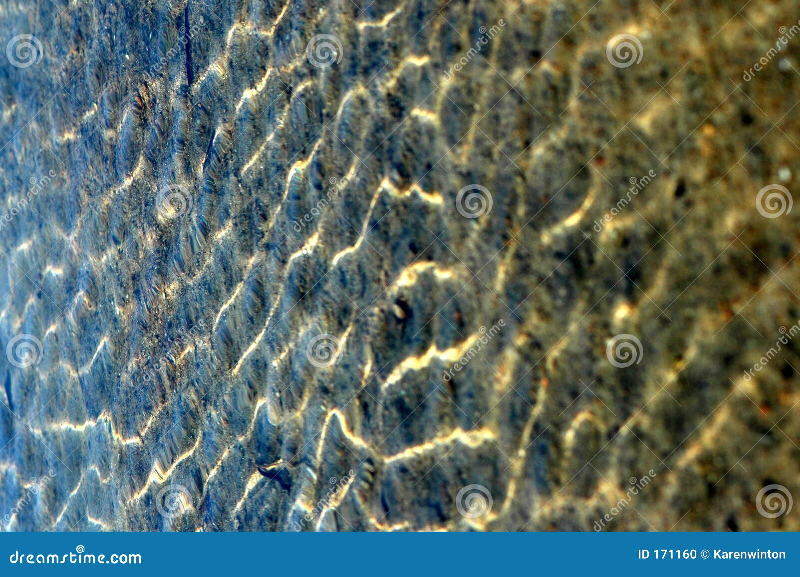 Vertical Ripples on the Sea Stock Photo - Image of seabed, light: 171160