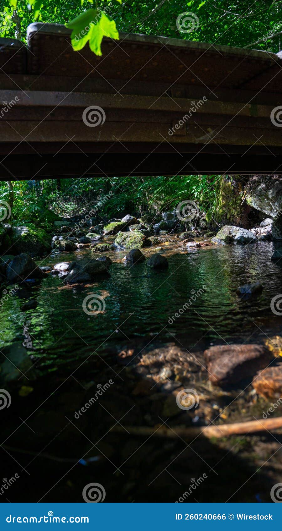 Vertical of a River Flowing Under a Bridge in the Black Forest ...