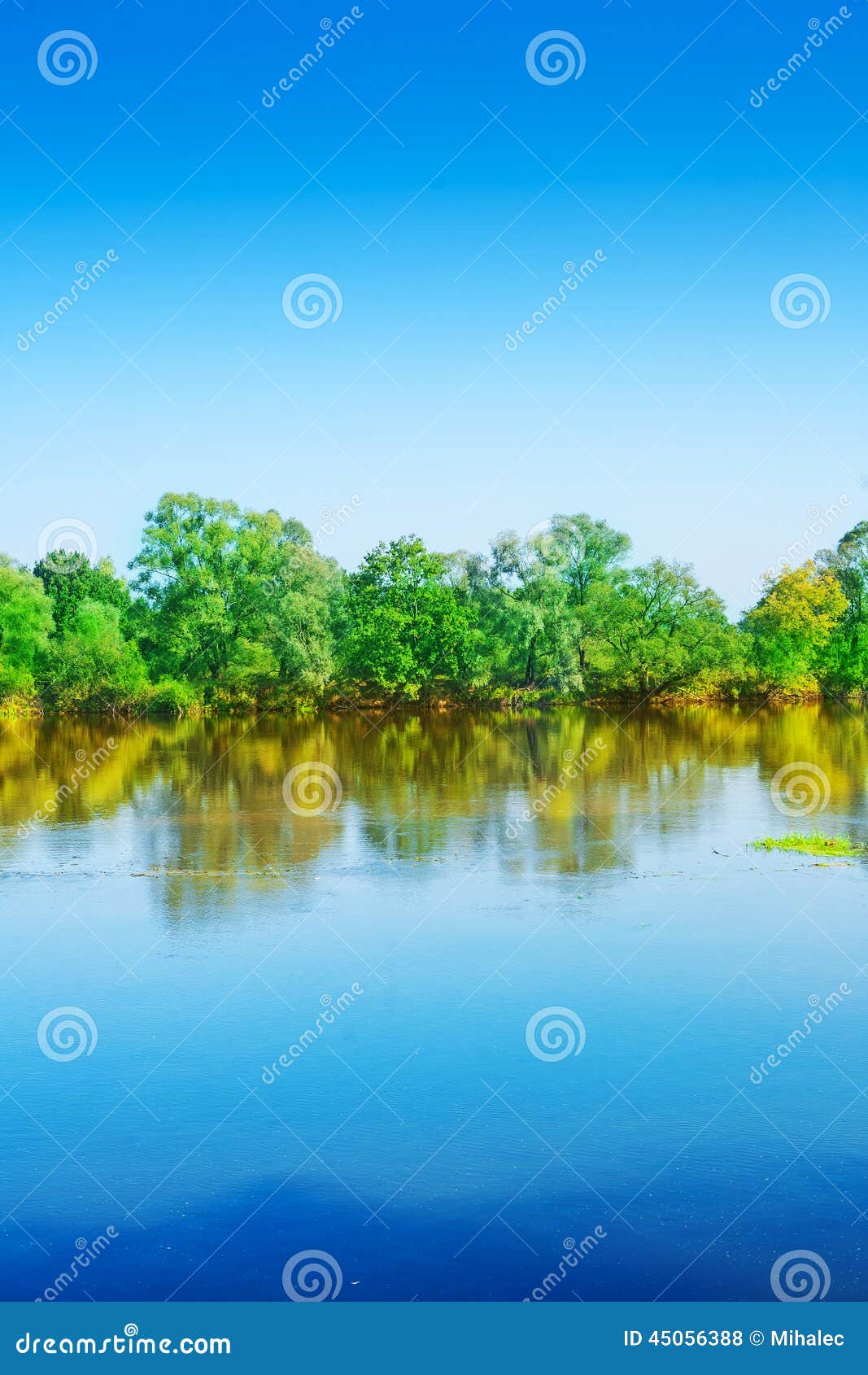 Vertical riverscape stock photo. Image of environment - 45056388