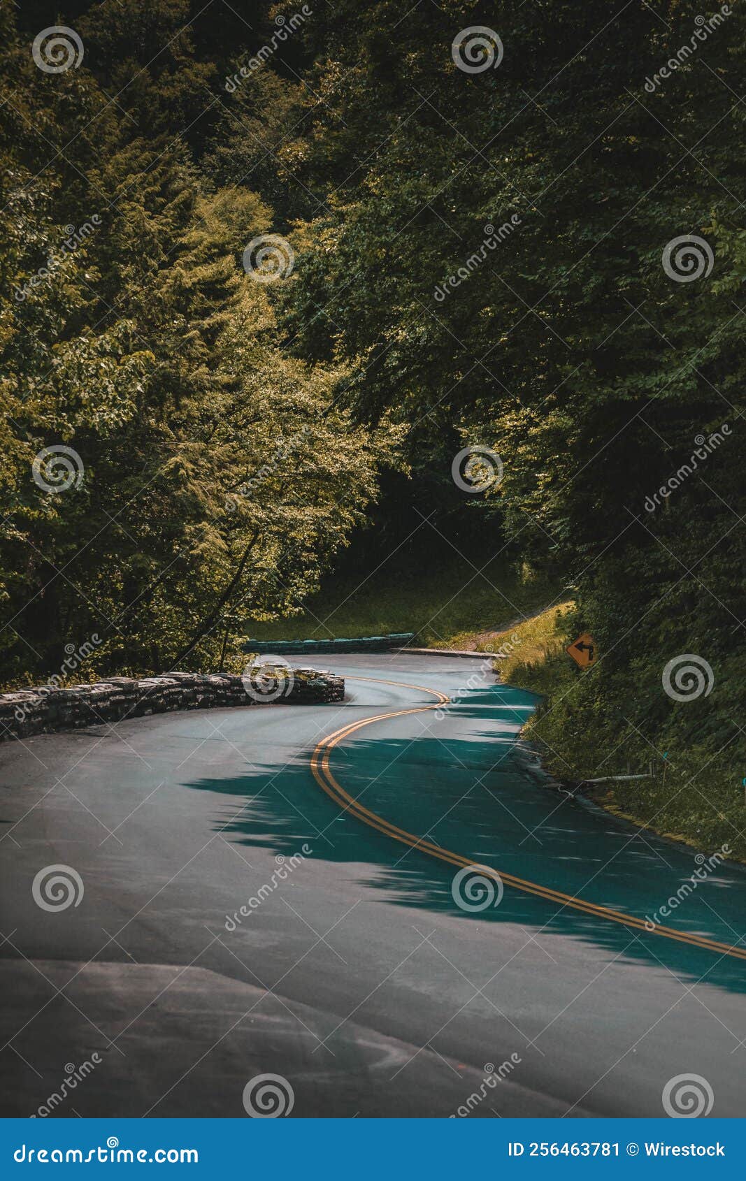 Vertical of a Road through the Forest. Stock Image - Image of landscape ...