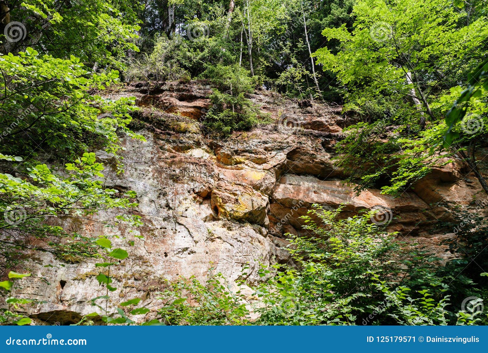 Vertical Rock Wall in the Woods Stock Image - Image of rock, open ...