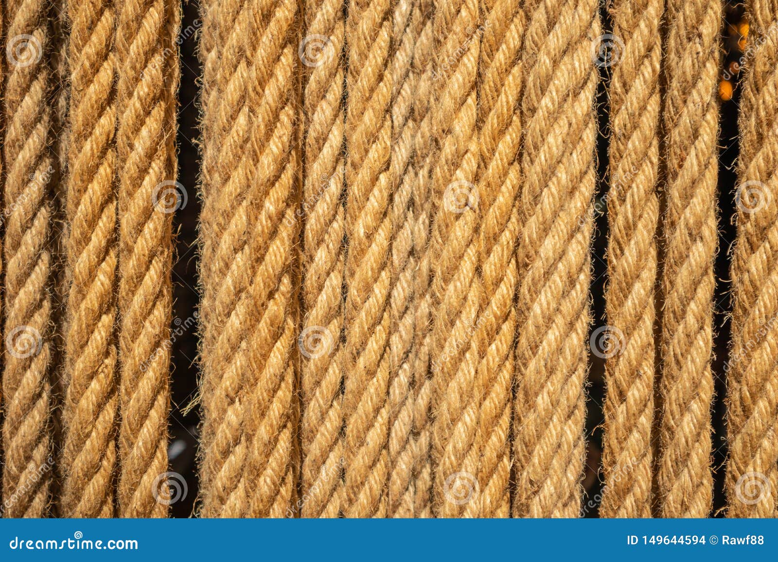 Vertical Ropes, Tether in Row, Empty Background. Brown Twisted Cord ...