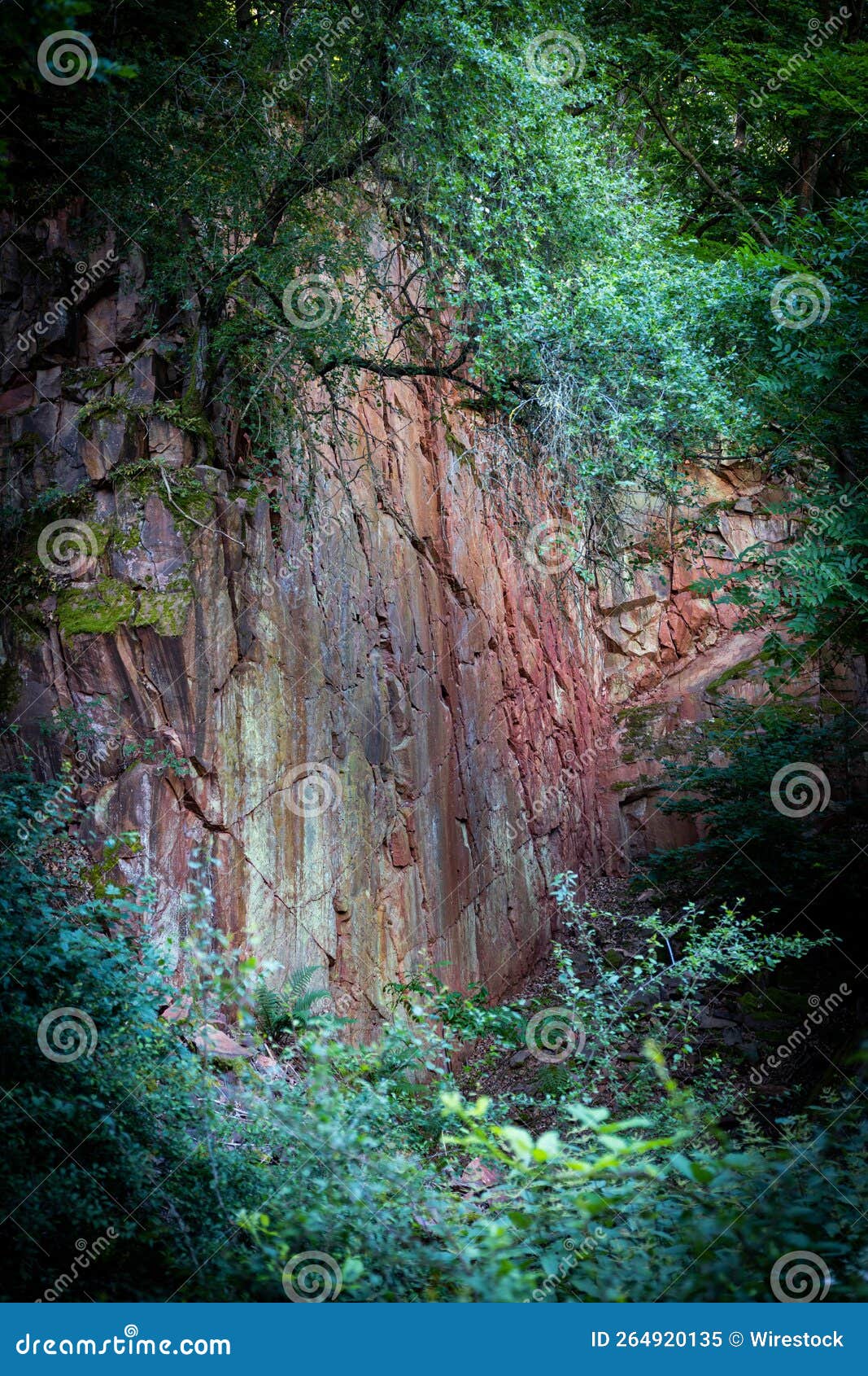 Vertical of the Rough Surface of a Cliff Seen between the Green ...