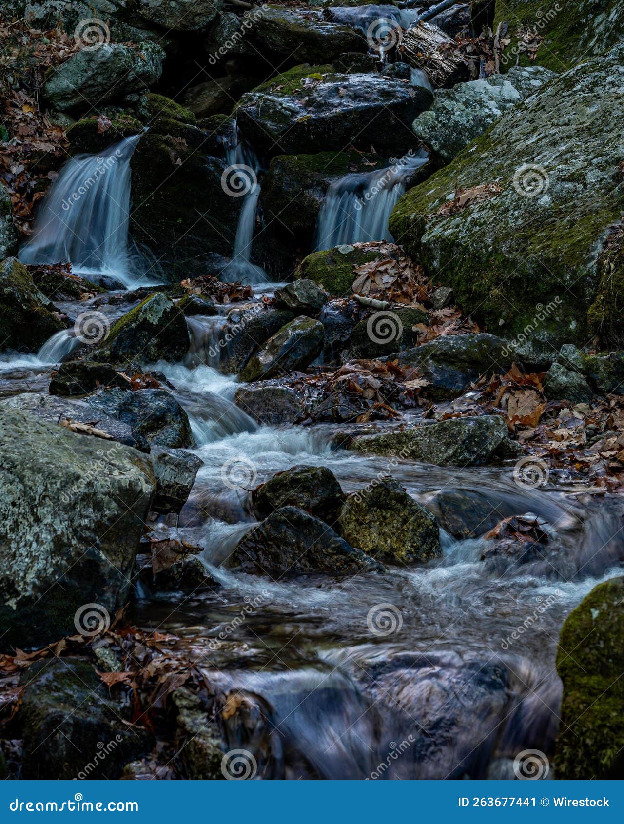 Vertical Scenic View of a Mountain Stream, Shot in Long Exposure ...