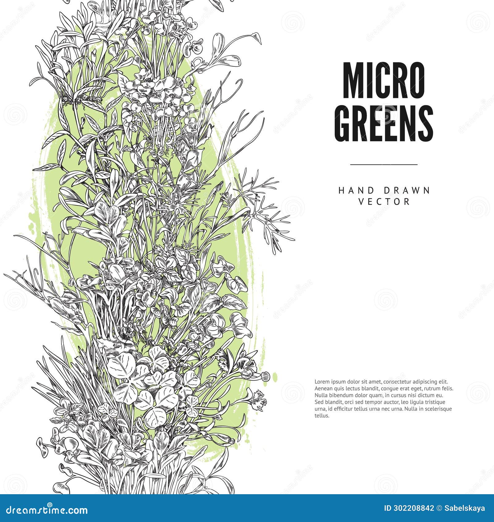 Vertical Seamless Border with Hand Drawn Different Micro Green Sprouts ...