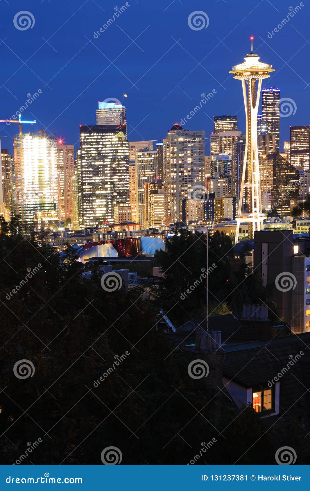 Vertical Seattle, Washington City Center after Dark Editorial Photo ...