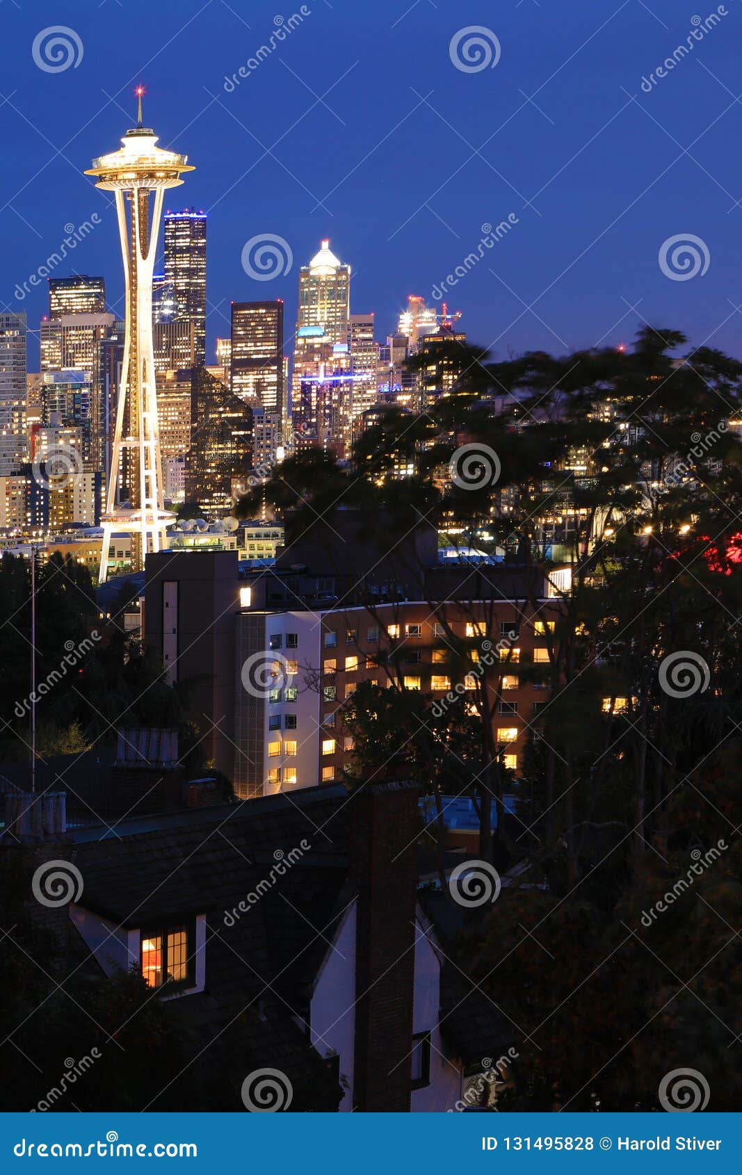 Vertical Seattle, Washington Skyline after Dark Editorial Stock Photo ...