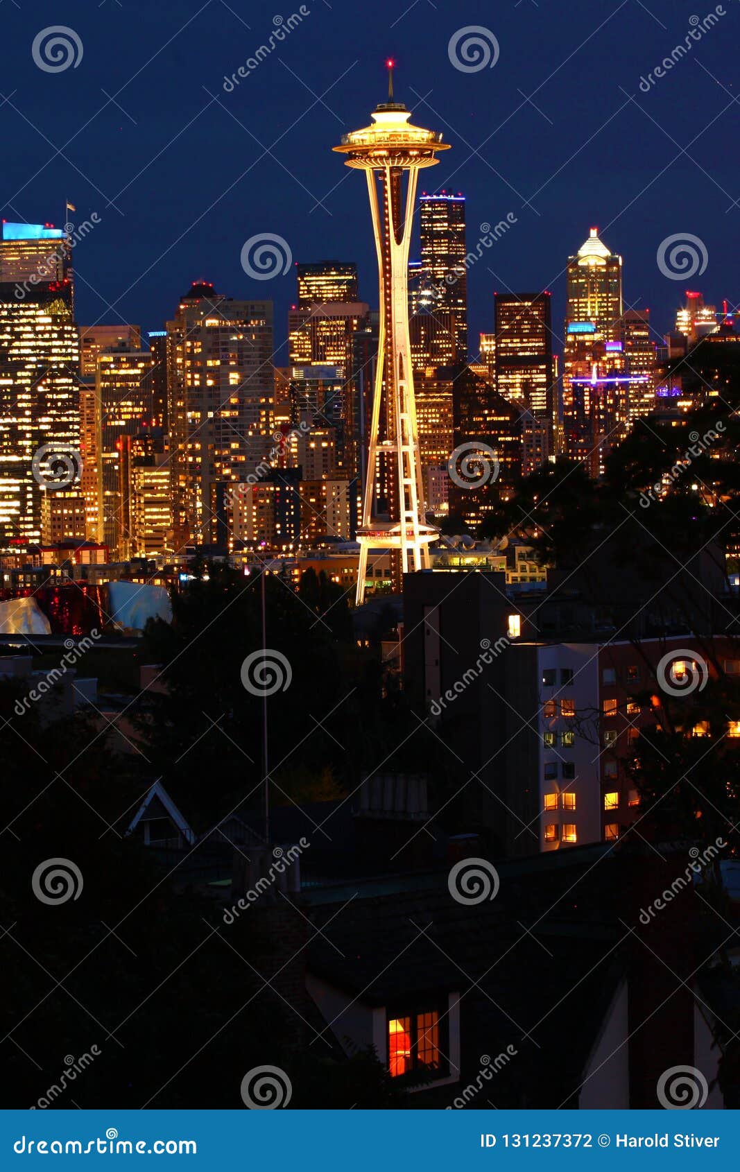 Vertical Seattle, Washington Skyline at Night Editorial Photography ...
