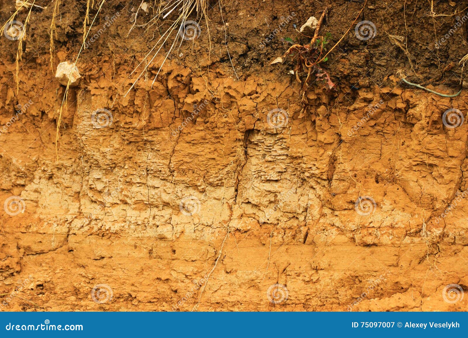 A Vertical Section Of Soil Layers Royalty-Free Stock Photography ...