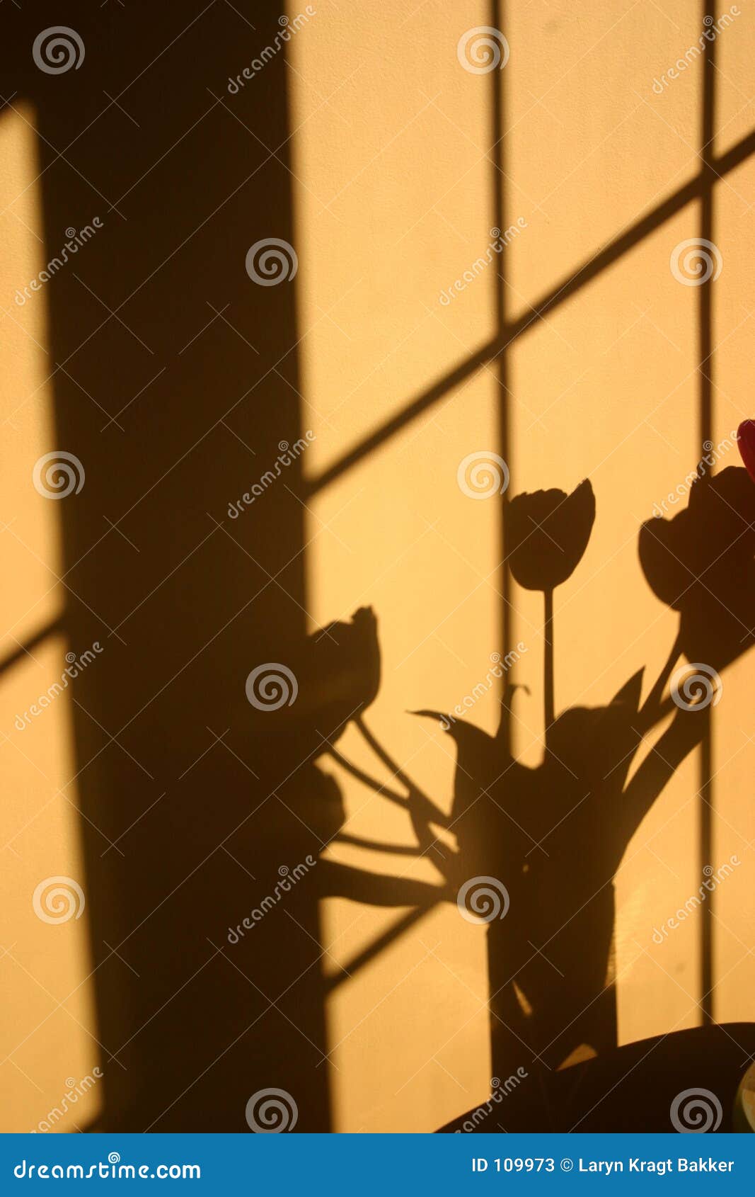 38,925 Vertical Shadow Stock Photos - Free & Royalty-Free Stock Photos ...