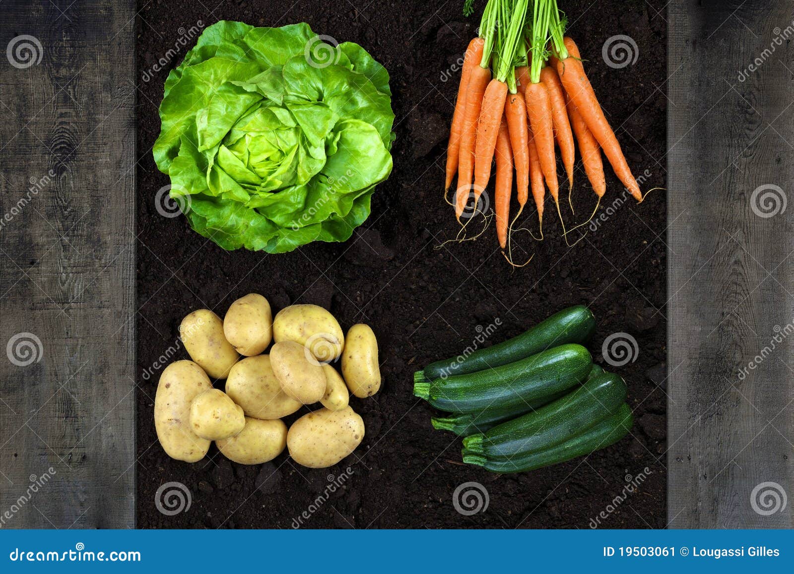 Vertical Shoot of Vegetables Stock Image - Image of market, food: 19503061