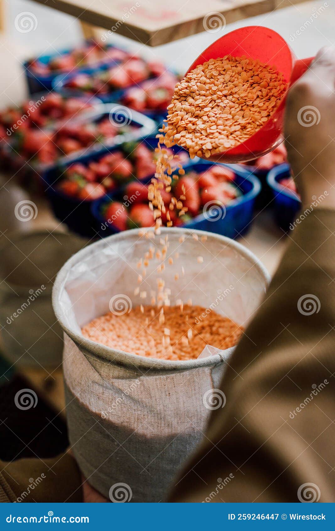 Vertical of a Shop Assistant Pouring Red Lentils in a Sack Stock Image ...