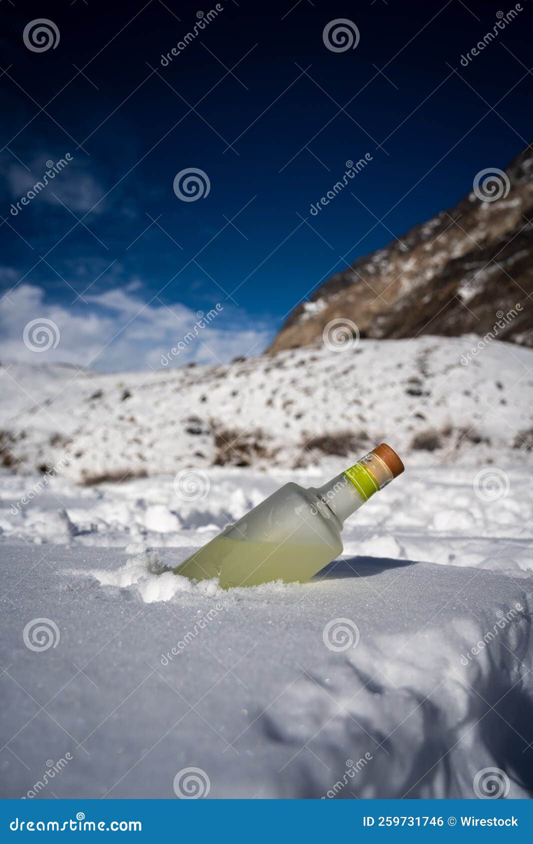 Vertical Shot of an Alcoholic Bottle in a Snow Stock Photo - Image of ...