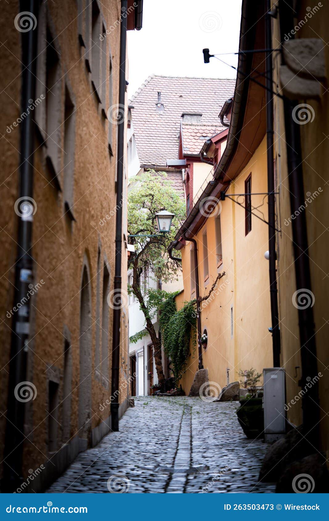 Vertical Shot of a Alleyway in the Middle of Buildings Stock Image ...