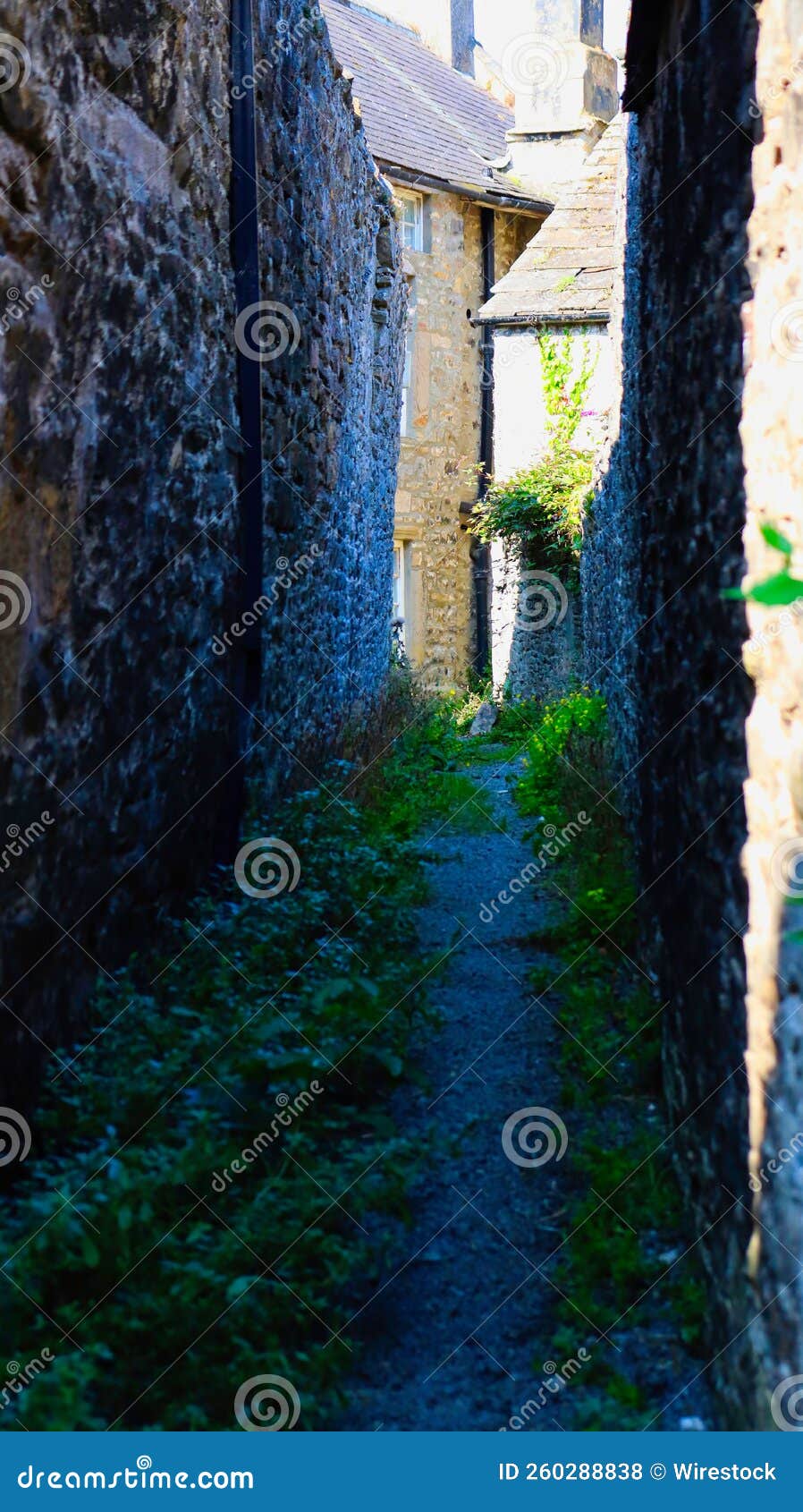 Vertical Shot of a Ally Way in Middleham Castle, England Stock Photo ...