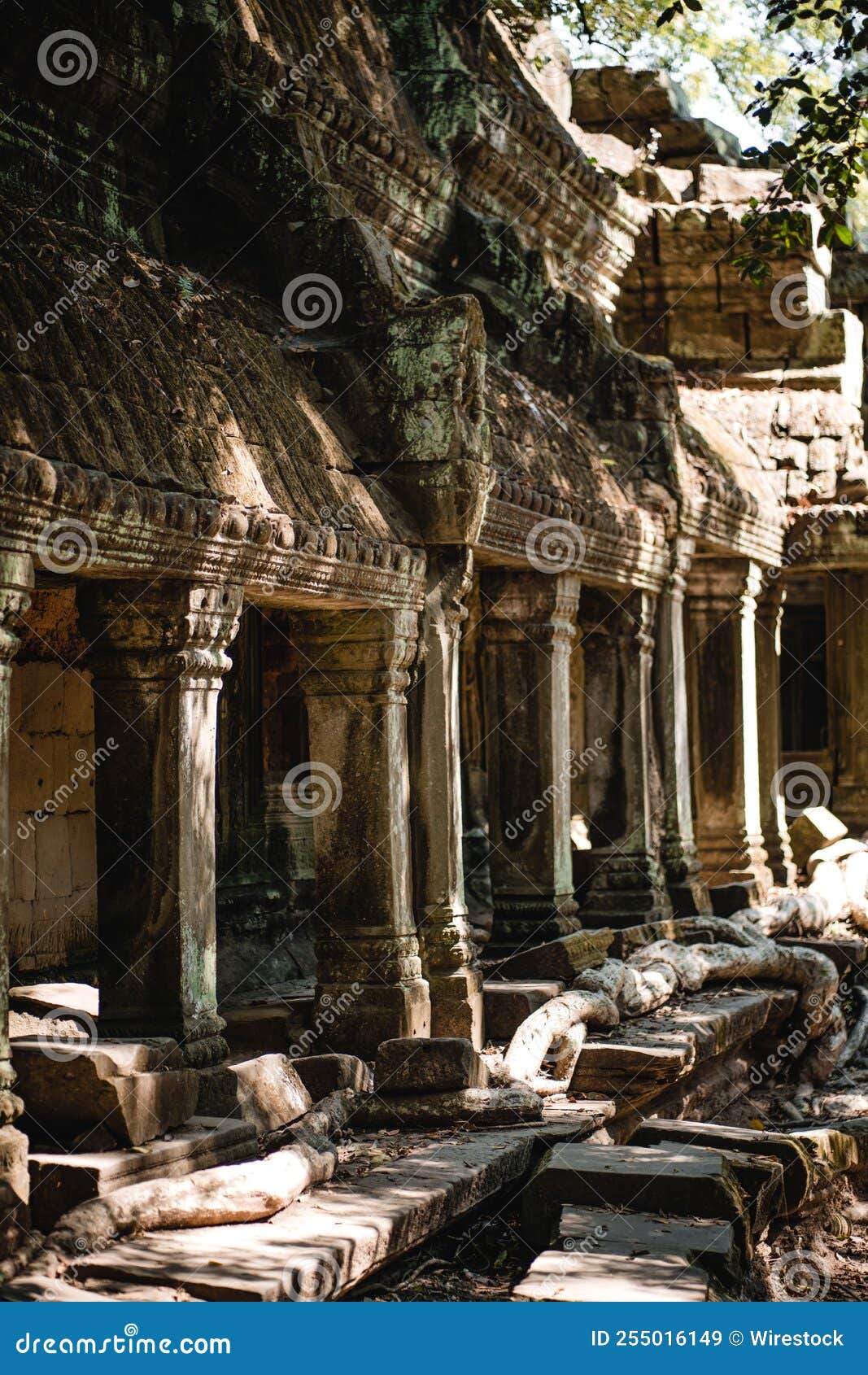Vertical Shot of Ancient Asian Temple Columns. Stock Image - Image of ...