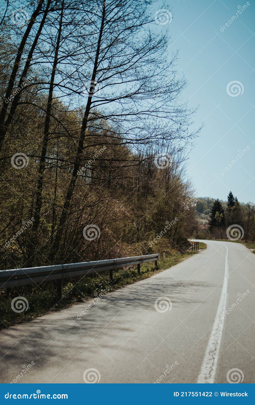 Vertical Shot of an Asphalt Road Surrounded by Forests and Trees Stock ...