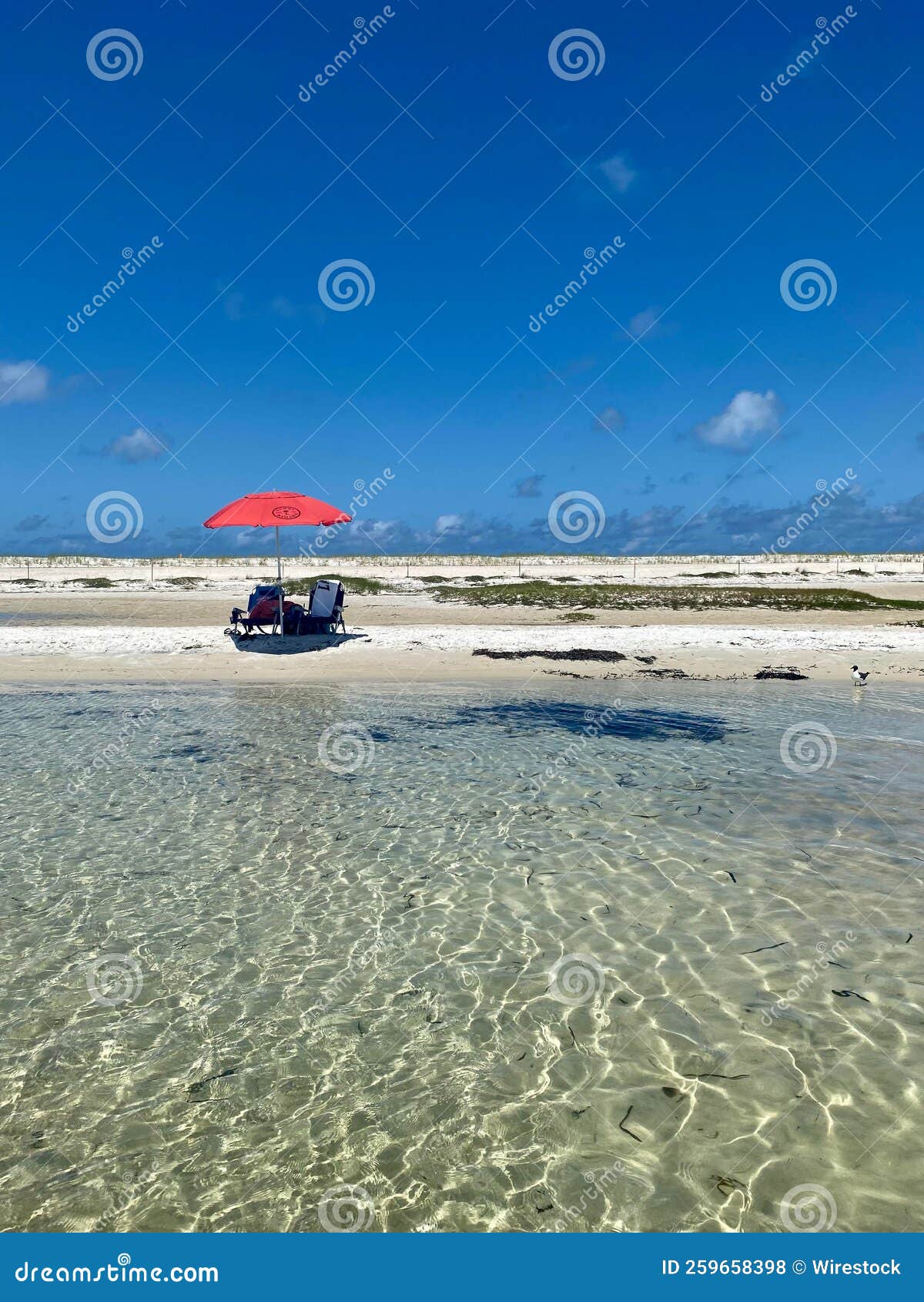 Vertical Shot of a Beach with a Red Umbrella on a Sunny Day with Blue ... Vertical Shot of a Beach with a Red Umbrella on a Sunny Day with Blue ...