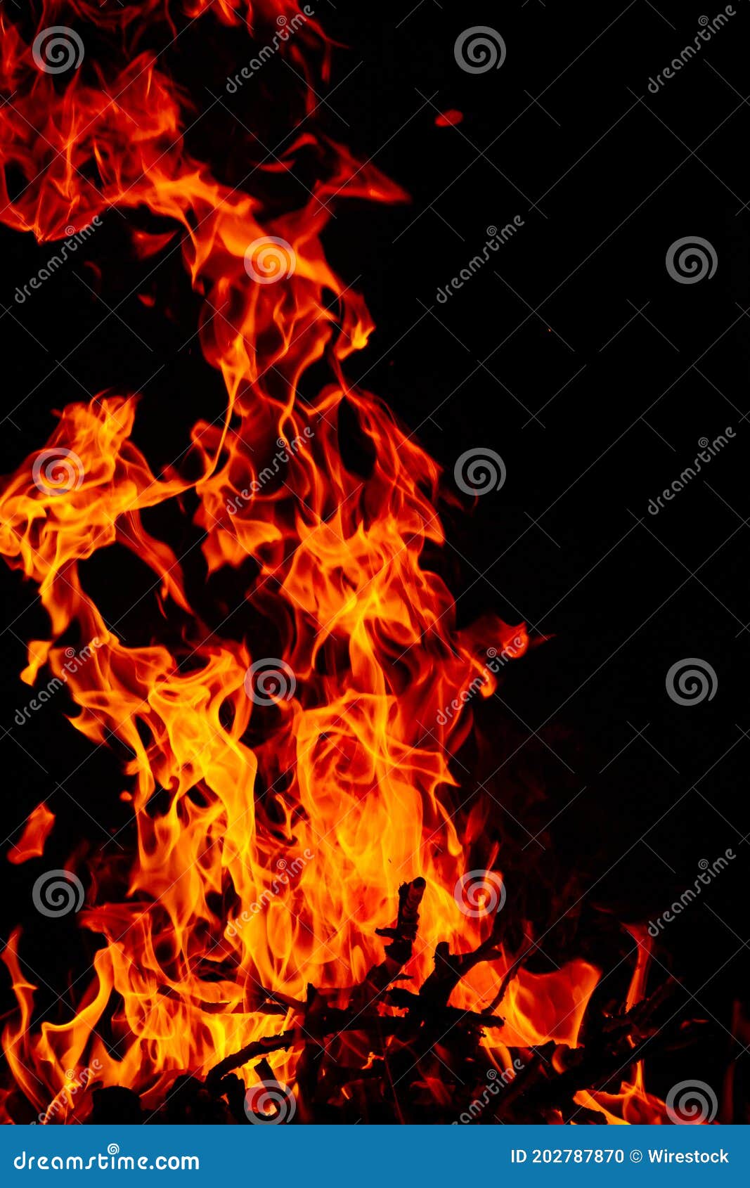 Vertical Shot of a Beautiful Burning Fire at Night Stock Photo - Image ...