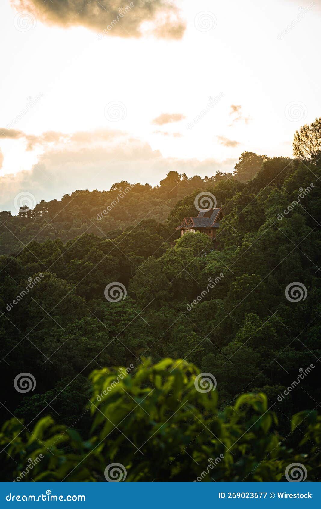 Vertical Shot of a Beautiful Cloudy Sunset Sky Over the Trees of the ...