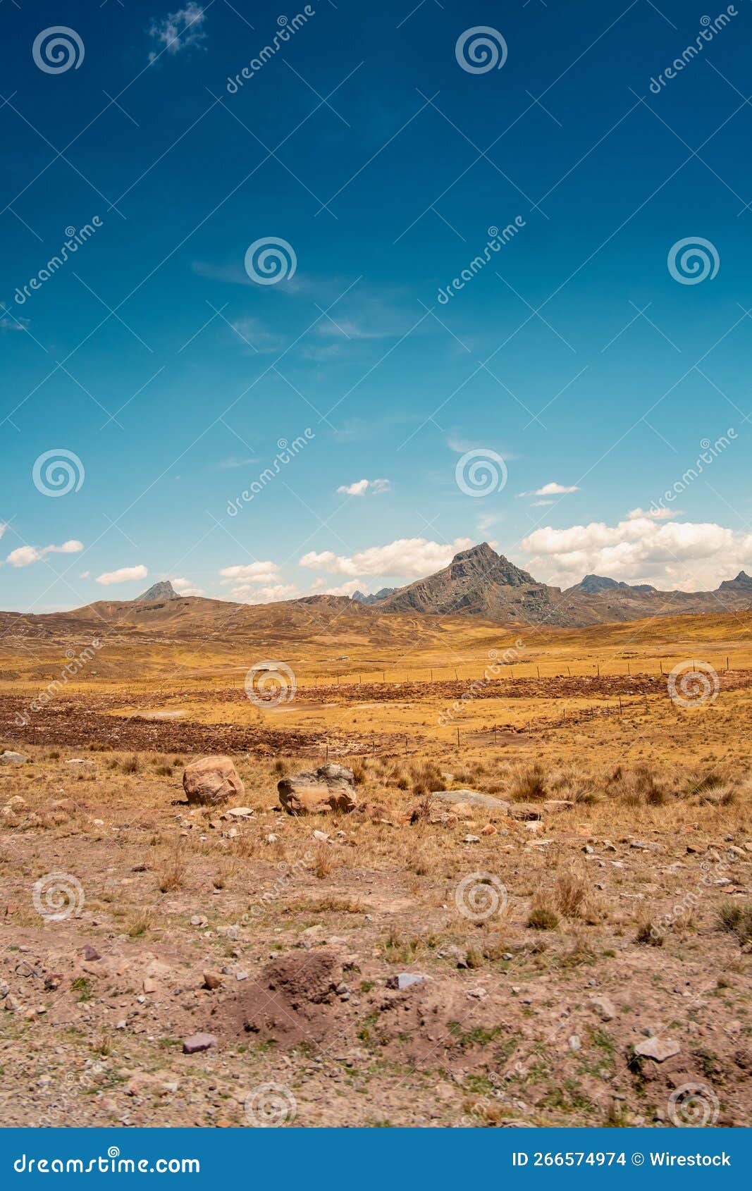 Vertical Shot of a Beautiful Desert in Peruvian Andes Stock Photo ...