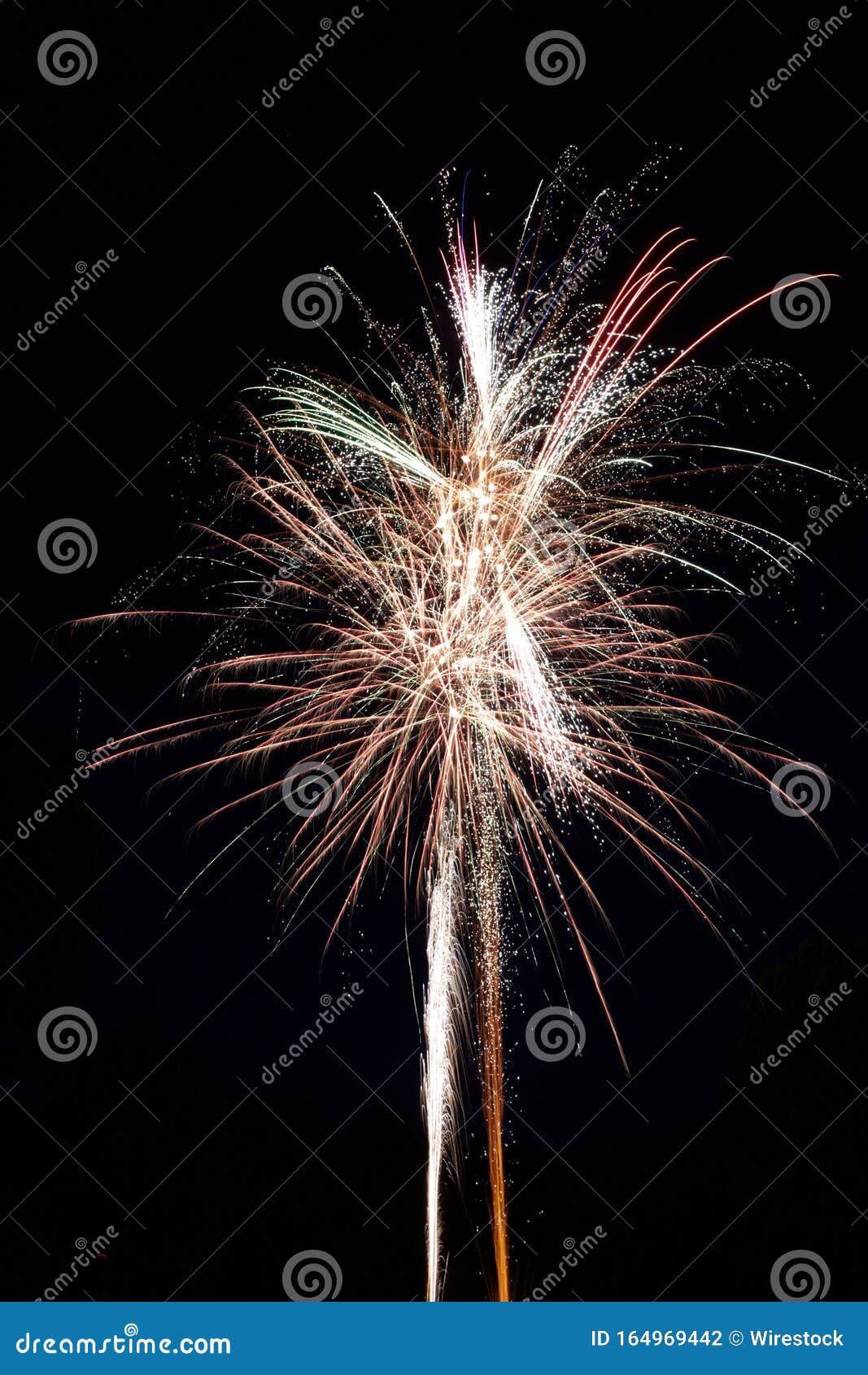Vertical Shot of a Beautiful Firework Exploding on Black Background ...