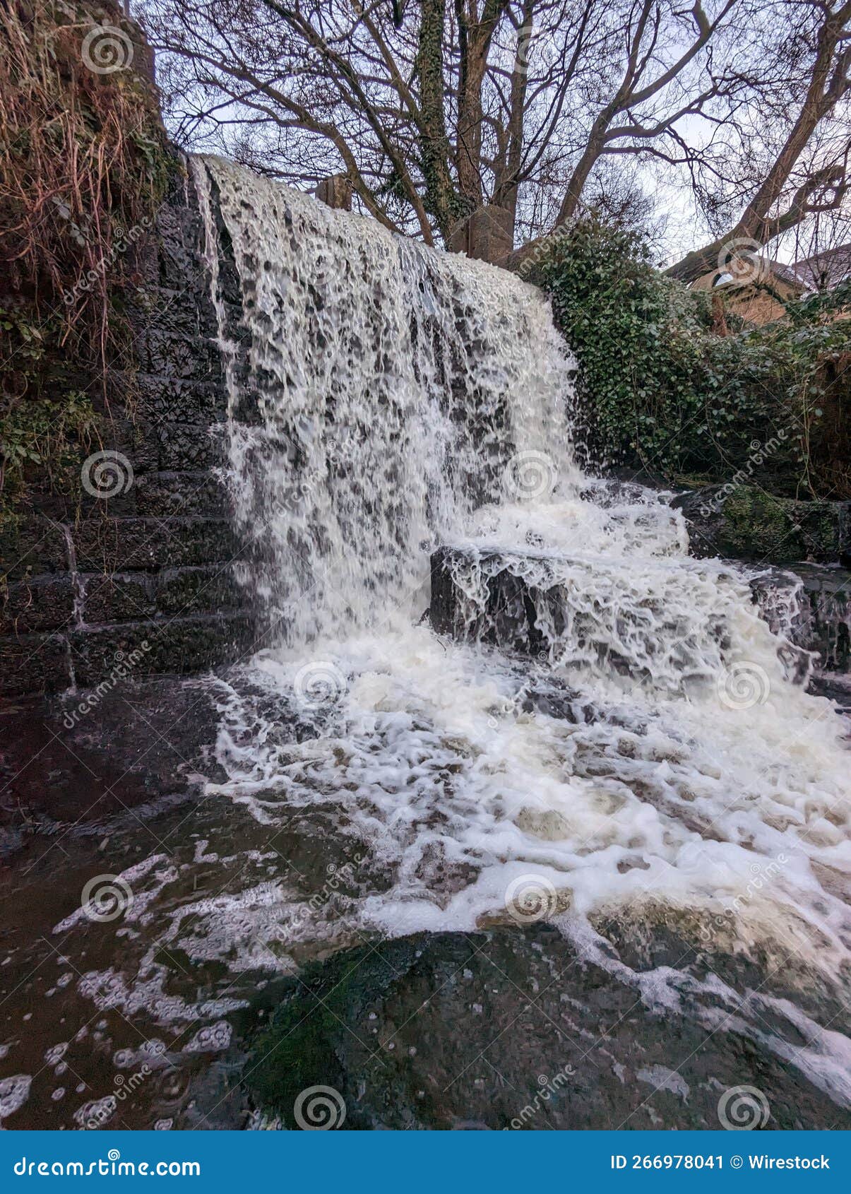 Vertical Shot of a Beautiful Flowing Splashing Waterfall in a Forest ...