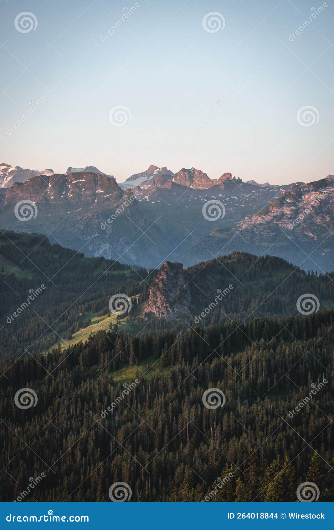Vertical Shot of a Beautiful Mountain Ranges with Silhouettes of Pine ...