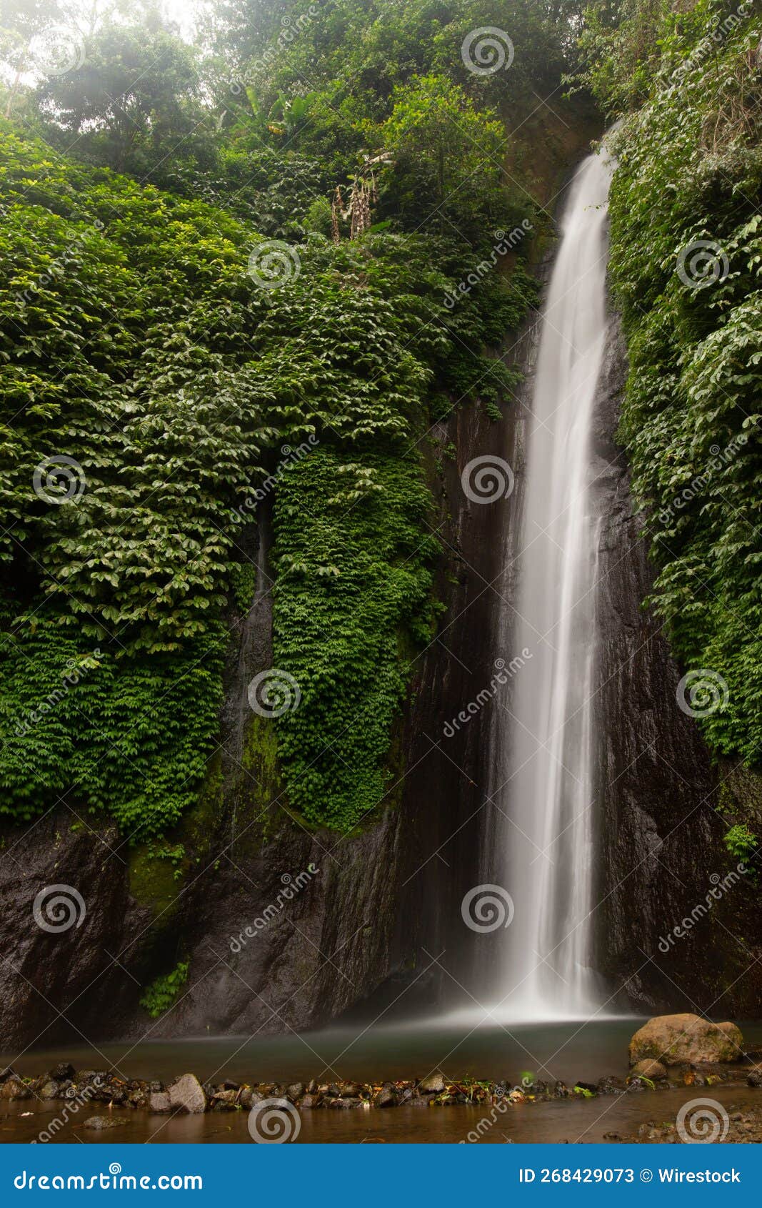 Vertical Shot of a Beautiful Narrow Waterfall in a Forest Stock Image ...