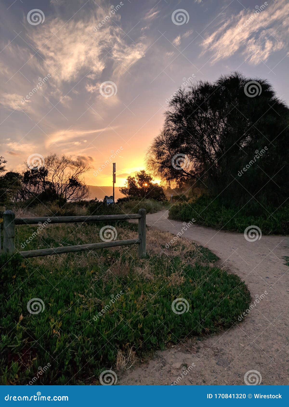 Vertical Shot of a Beautiful Pathway with Grasses and Trees and a ...