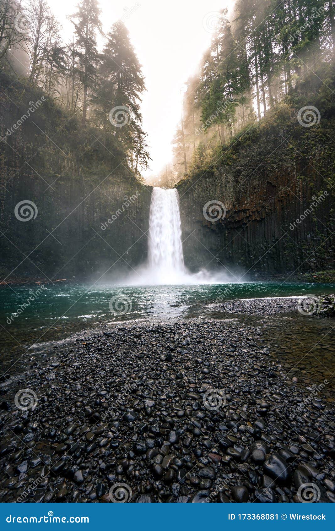 Vertical Shot of a Beautiful Powerful Waterfall in a Forest during ...