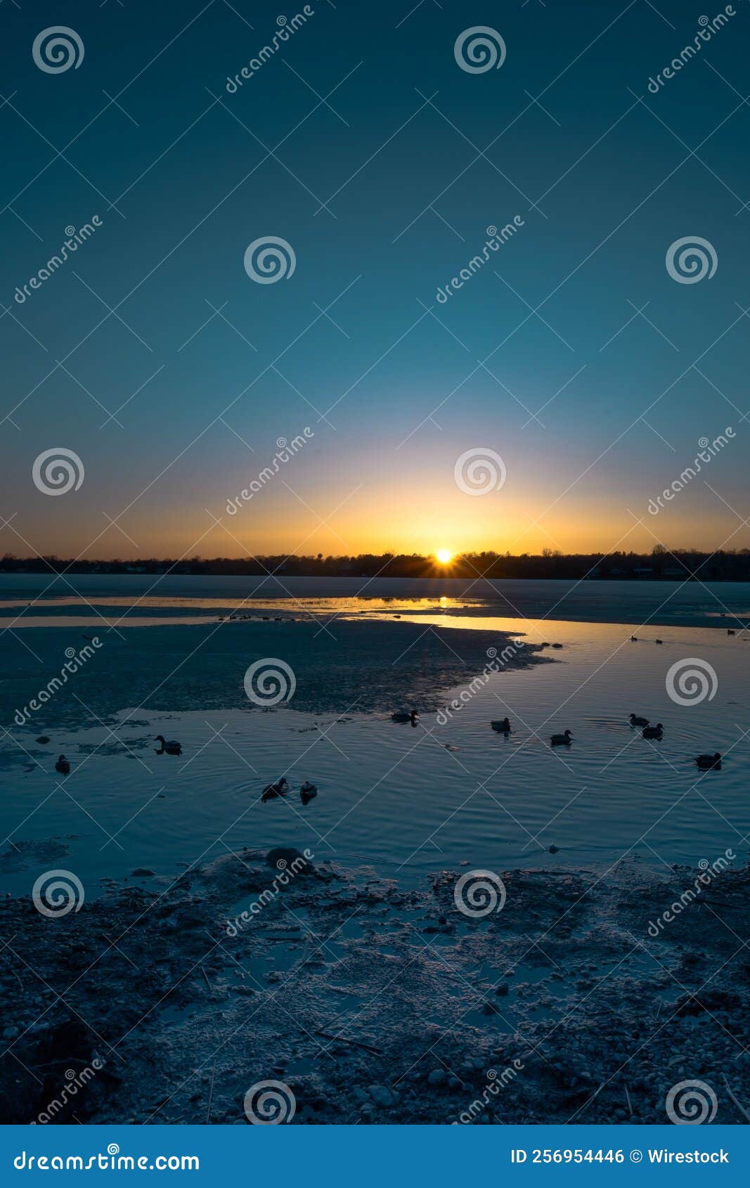 Vertical Shot of a Beautiful Sunset Over the Wetland Stock Photo ...
