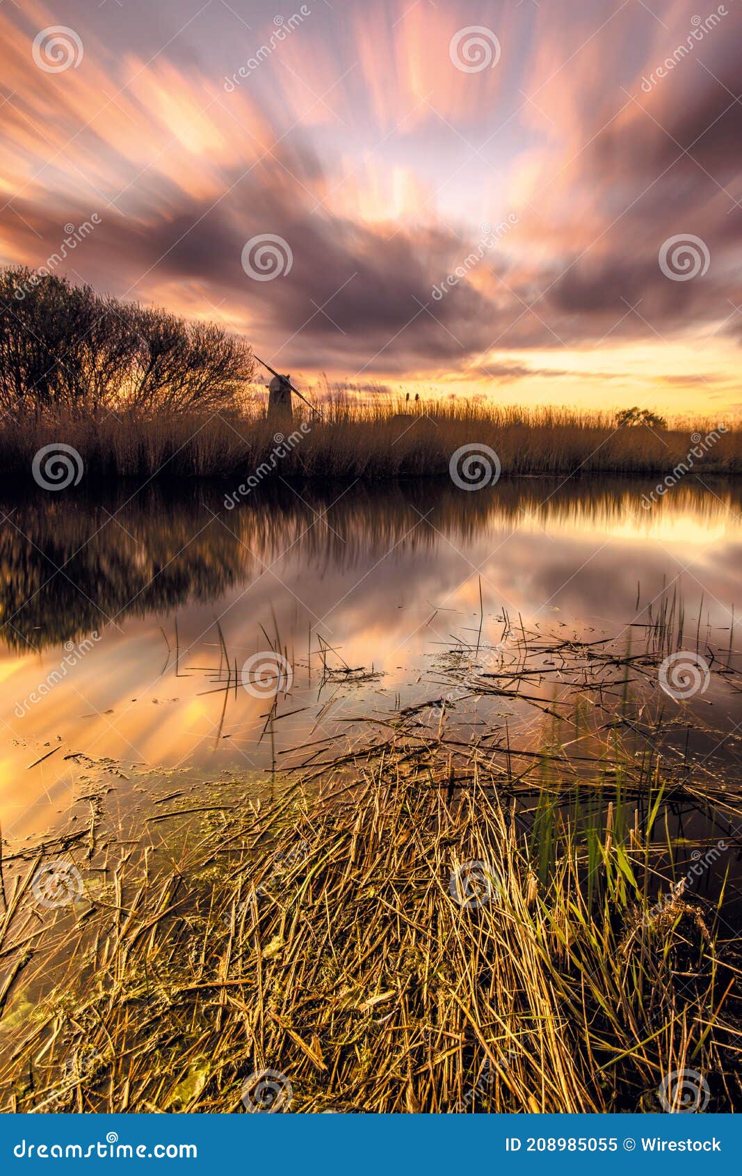 Vertical Shot of a Beautiful Sunset Reflected in the Swamp Stock Image ...